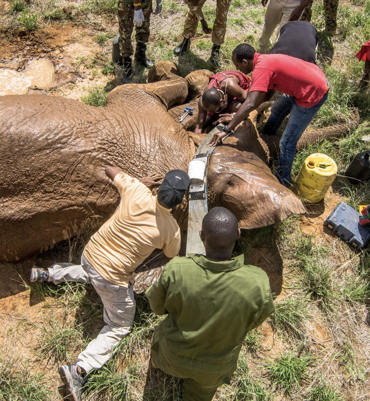 Our Research Centres - Save the Elephants
