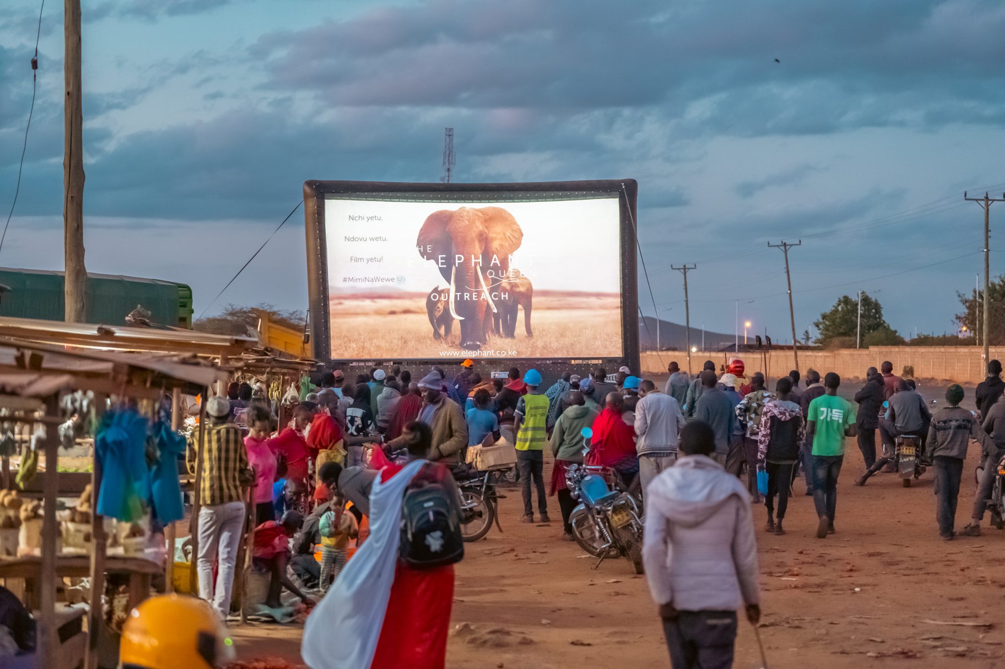 The Elephant Queen: How a wildlife documentary inspired rural Kenya ...