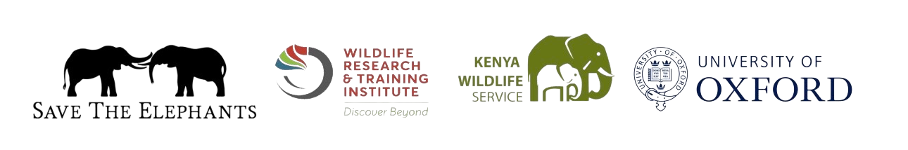 Study: Beehive Fences Reduce Elephant Conflict. - Save the Elephants