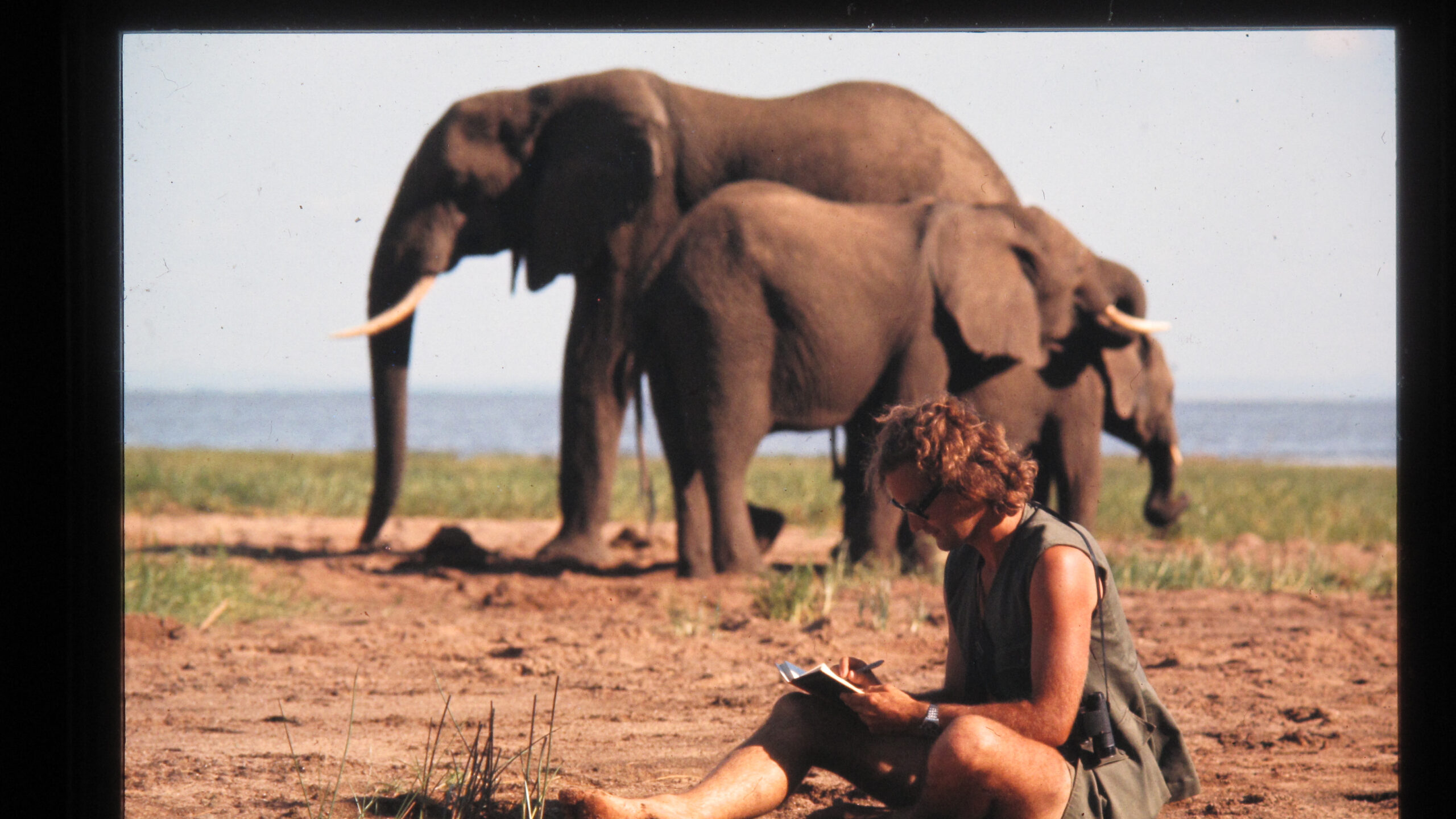 A Life Among Elephants - Save the Elephants