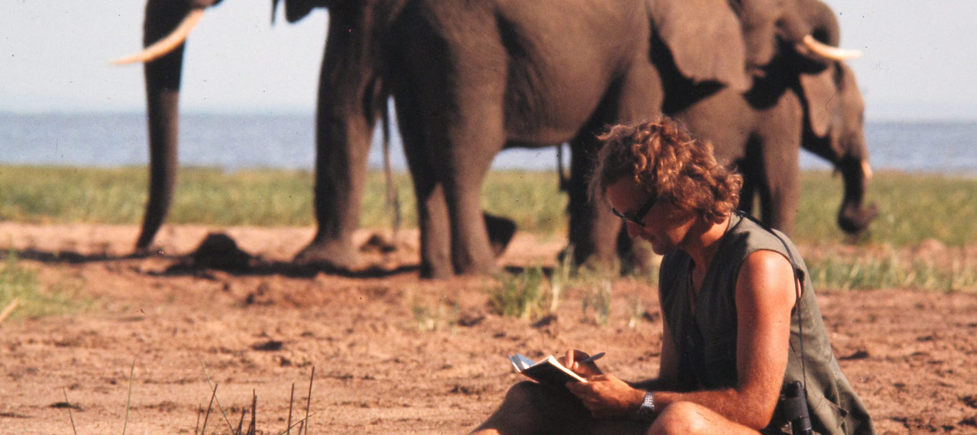 A Life Among Elephants - Save the Elephants