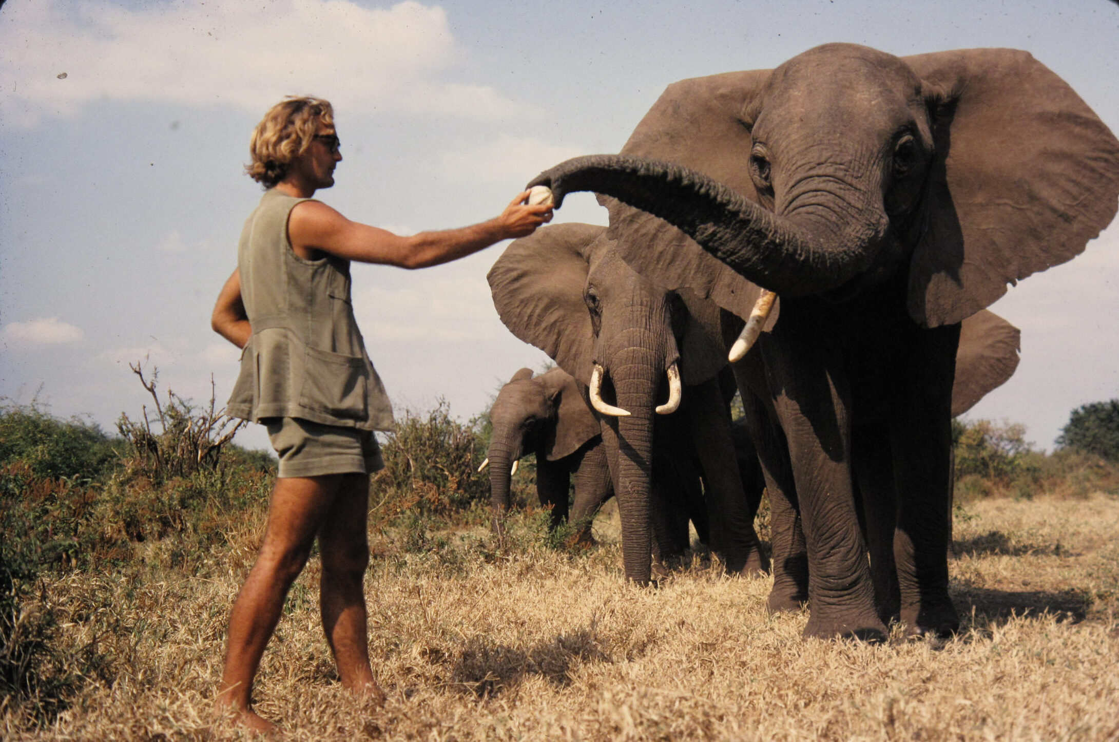 A Life Among Elephants - Save the Elephants