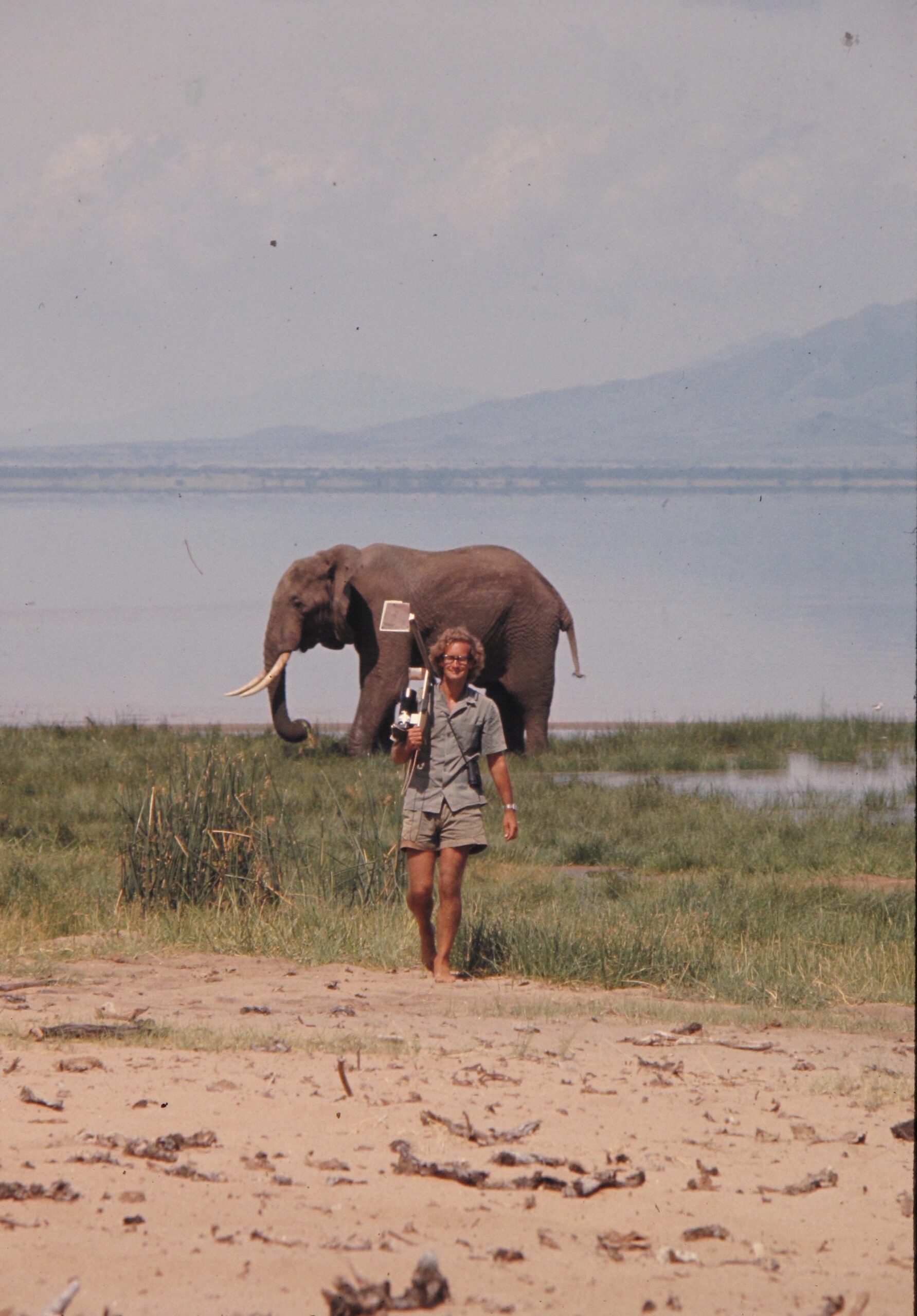 A Life Among Elephants - Save the Elephants