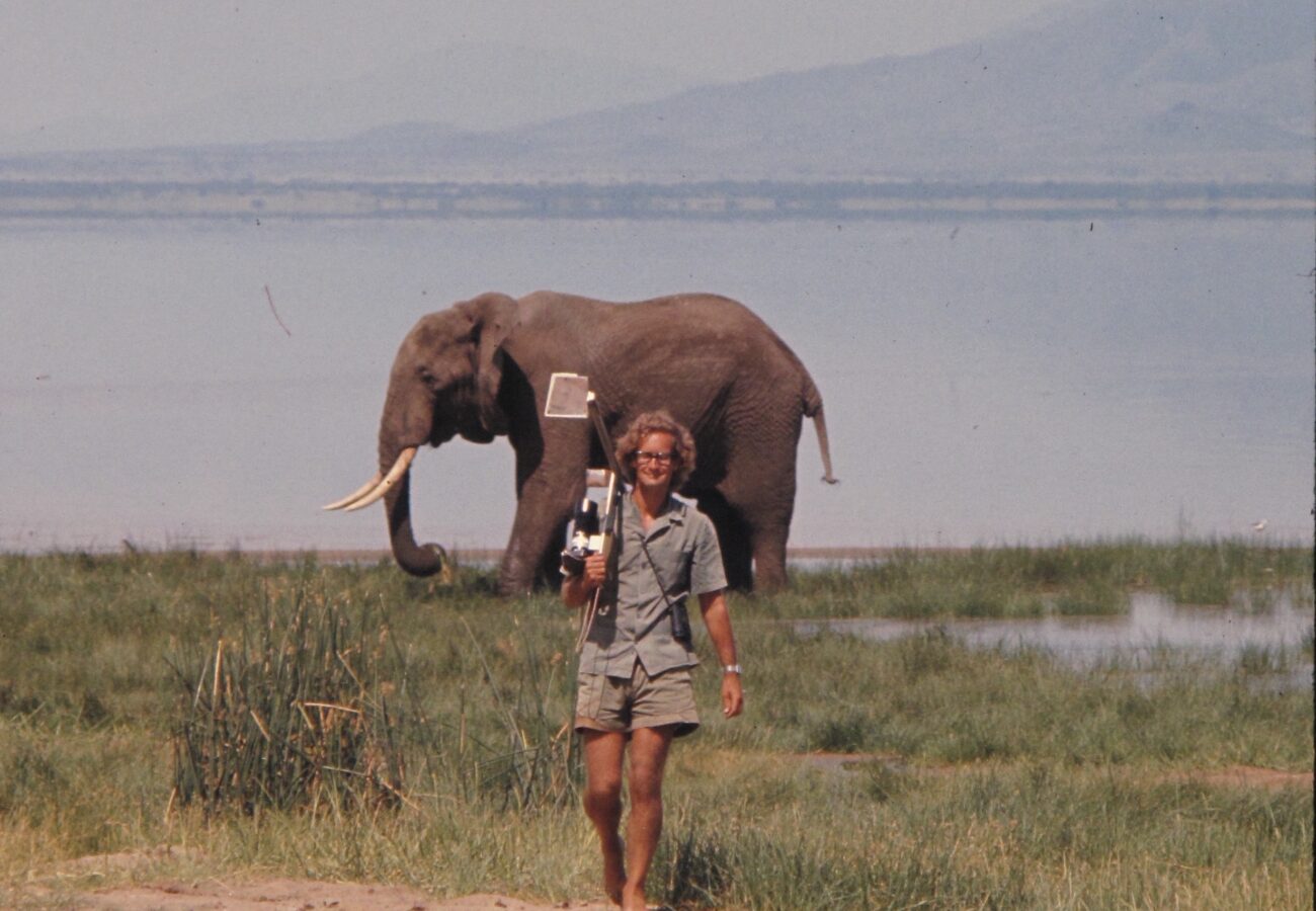 A Life Among Elephants - Save the Elephants