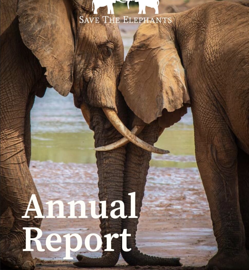 Annual Reports - Save the Elephants