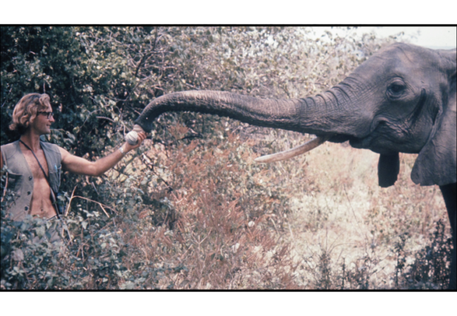 A Life Among Elephants - Save the Elephants