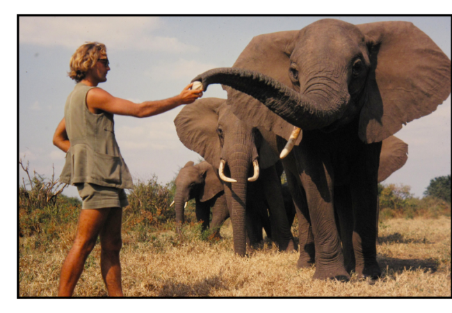 A Life Among Elephants - Save the Elephants