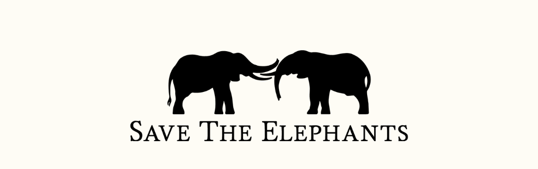 WORLD-RENOWNED AFRICAN ELEPHANT EXPERT, DR IAIN DOUGLAS-HAMILTON, DIES ...